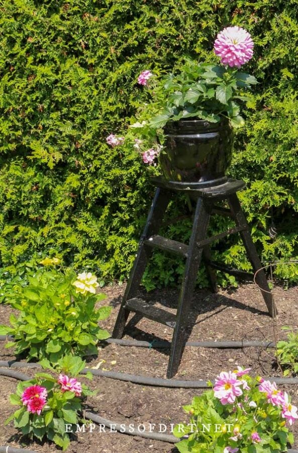 12 Creative & Rustic Garden Art Ladder Ideas