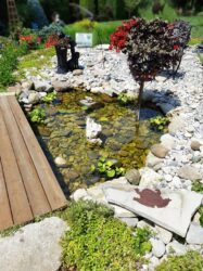 Backyard Ponds With Bridges (Pics From Home Gardens)