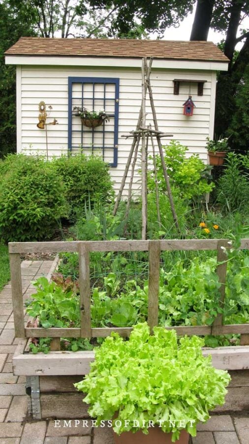 25 Vegetable Garden Design & Layout Ideas (With Photos)