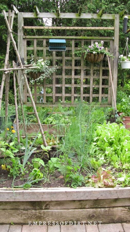 25 Vegetable Garden Design & Layout Ideas (With Photos)