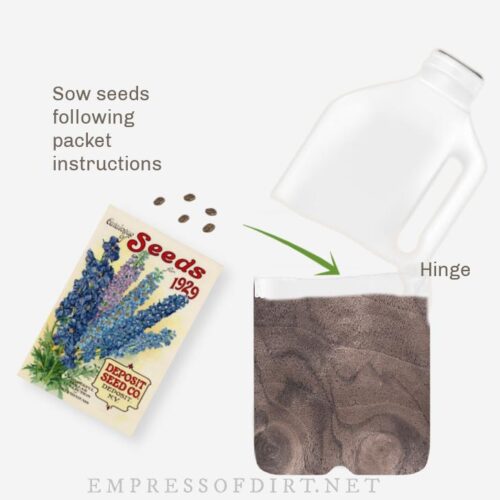 The Complete Guide to Winter Sowing Seeds: Tips & Timing