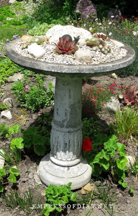 14 Birdbath Planter Ideas for Your Garden — Empress of Dirt