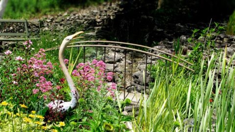 Backyard Ponds With Bridges (Pics From Home Gardens)