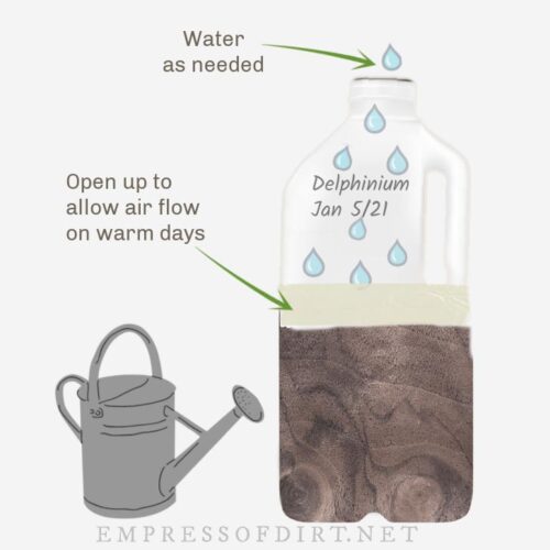 The Complete Guide to Winter Sowing Seeds: Tips & Timing