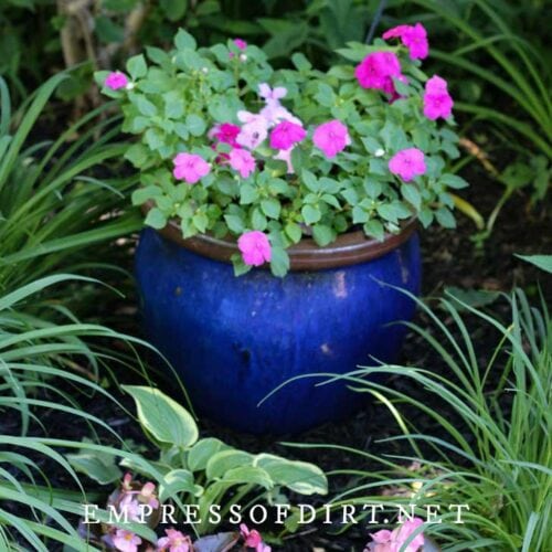 38 Blue Garden Accent Ideas: Art, Decor, & Flowers