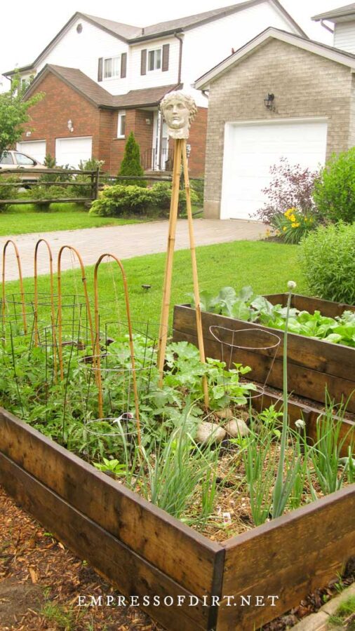 25 Vegetable Garden Design & Layout Ideas (With Photos)