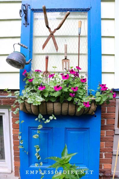 40 Unique Container Gardening Ideas | Empress of Dirt