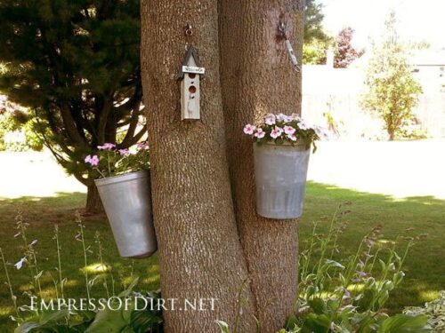 40 Unique Container Gardening Ideas