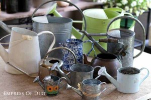 20 Creative Watering Can Planter & Decoration Ideas — Empress of Dirt