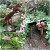 GARDEN Art DIY: Rusty Garden Art Gallery