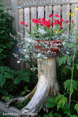 25 Creative Tree Stump Ideas for Backyard Gardens