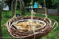 How to Make a Butterfly Water Feeder — Empress of Dirt