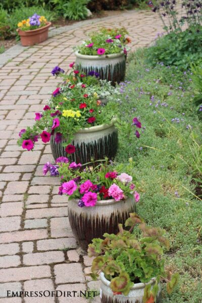 40 Unique Container Gardening Ideas | Empress of Dirt