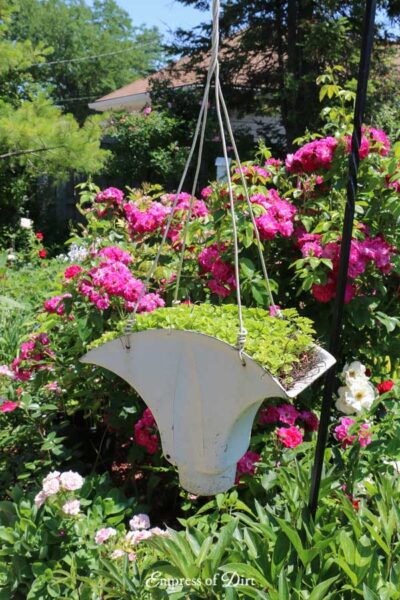 40 Unique Container Gardening Ideas | Empress of Dirt