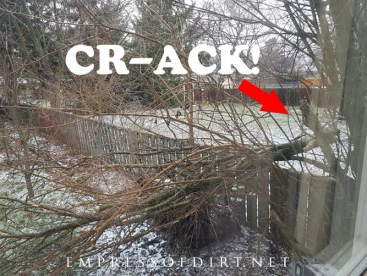 DIY Outdoor Privacy Screen with Bug Hotel — Empress of Dirt