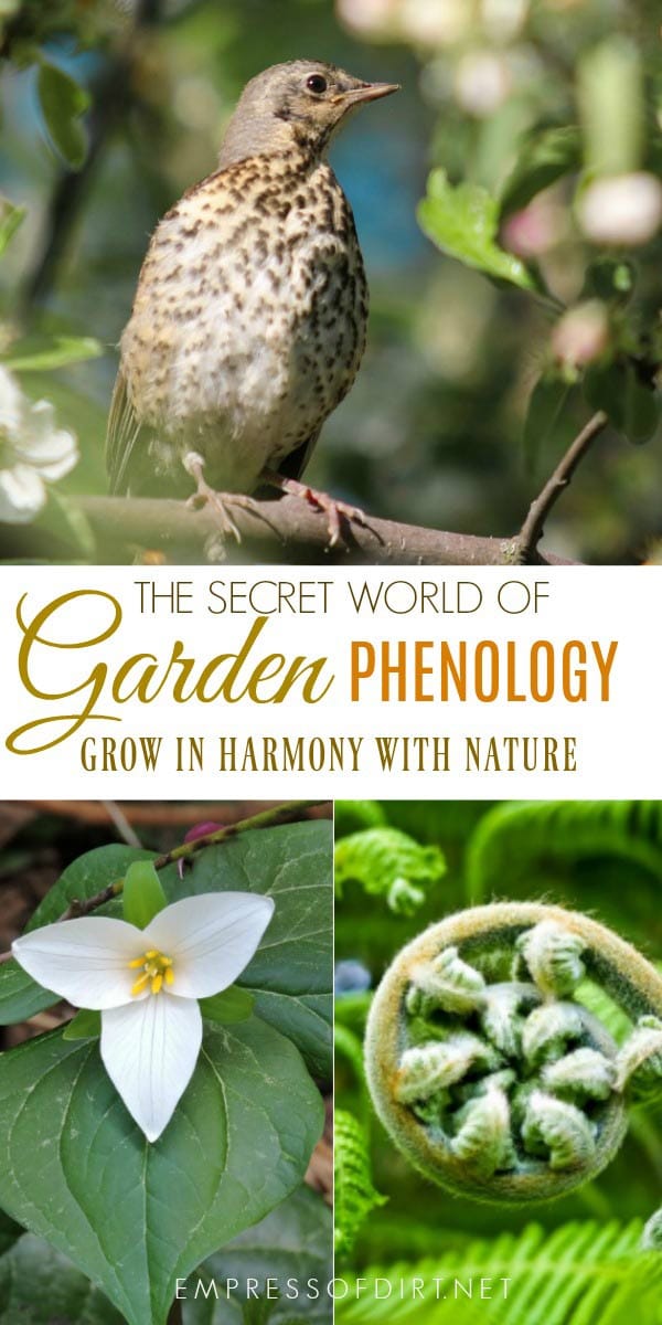 Using Natural Signs & Signals to Grow Your Best Garden | Empress of Dirt