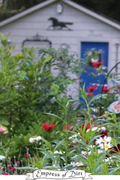 Garden Wisdom with Monty Don — Empress of Dirt