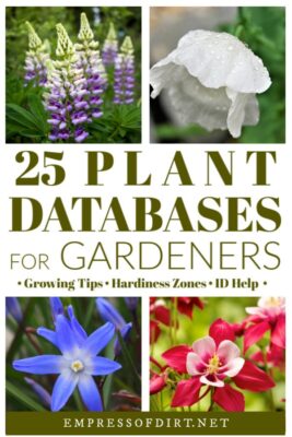 Online Plant Databases (Canada & United States) — Empress of Dirt