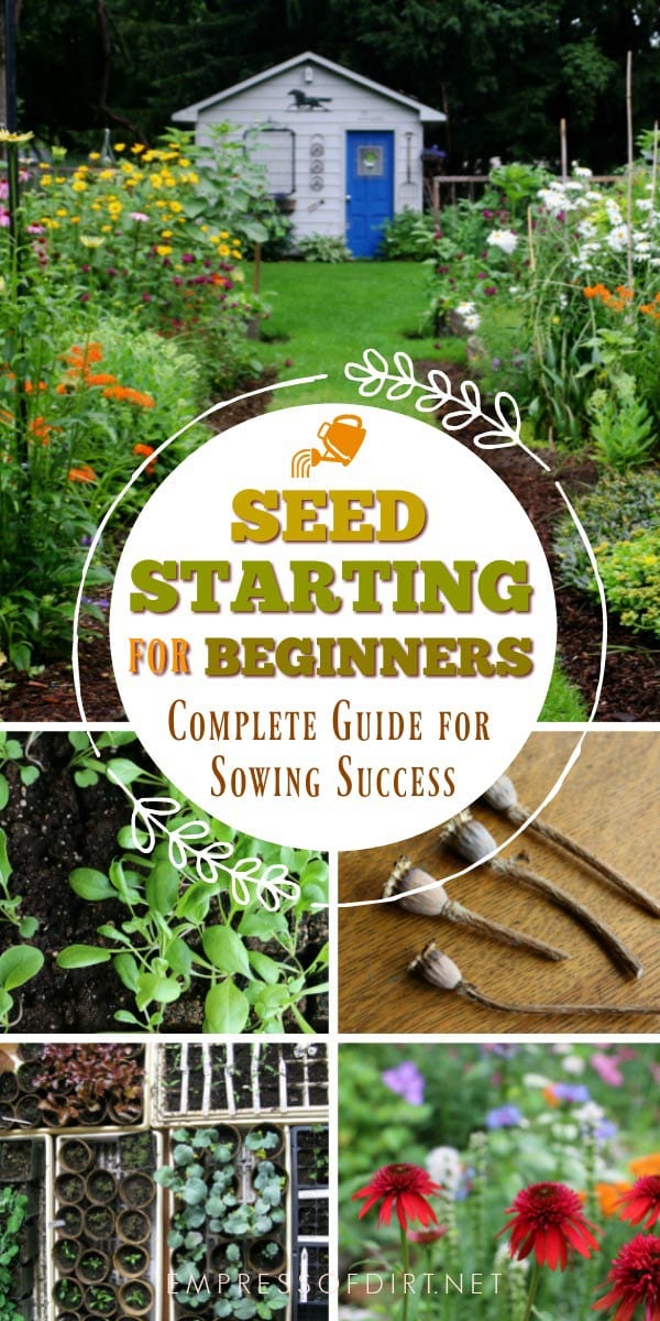Seed Starting for Beginners: Sow Inside Grow Outside - Empress of Dirt