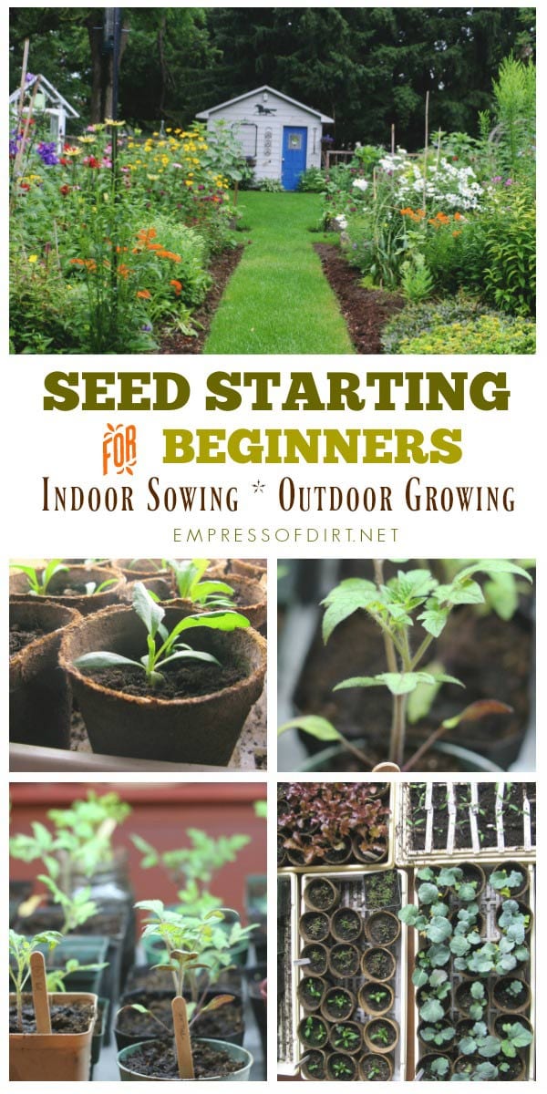 Seed Starting for Beginners: Sow Inside Grow Outside - Empress of Dirt