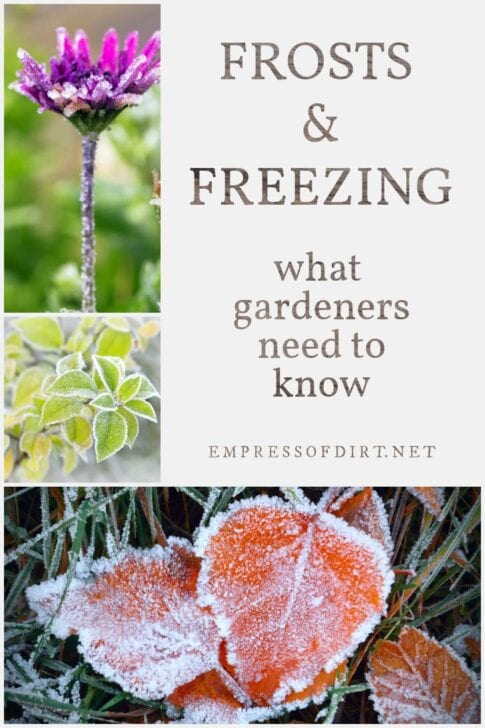 Understanding Frosts & Freezing: What Gardeners Need to Know
