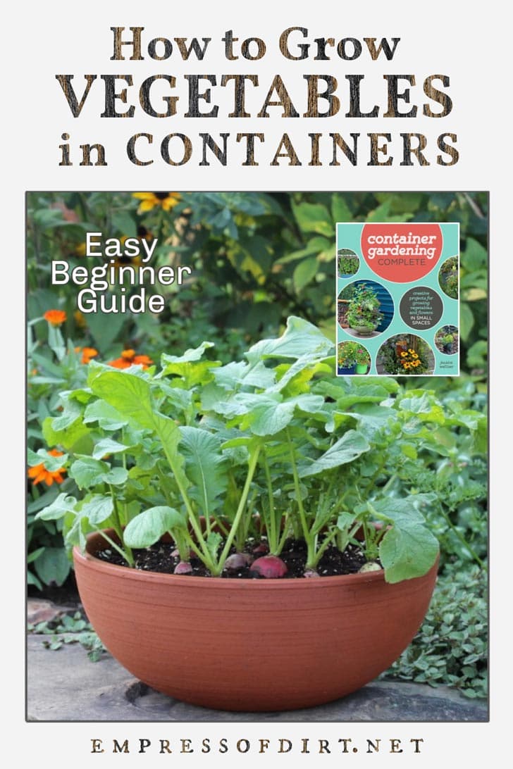 Container Vegetable Gardening: A Planting Plan for Spring Through Fall