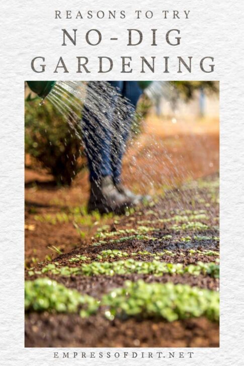 No-Dig Gardening: A Practical Look at the Pros and Cons — Empress of Dirt