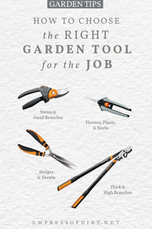 Garden Tool Guide: How to Choose the Right Pruners & Loppers