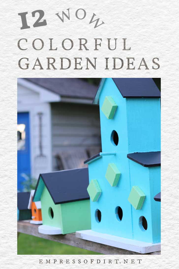 12 Colorful Garden Ideas to Kick it Up a Notch — Empress of Dirt