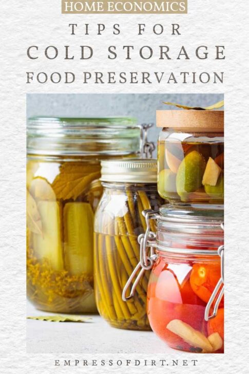 Getting Started With Cold Food Storage For Vegetables & Fruits