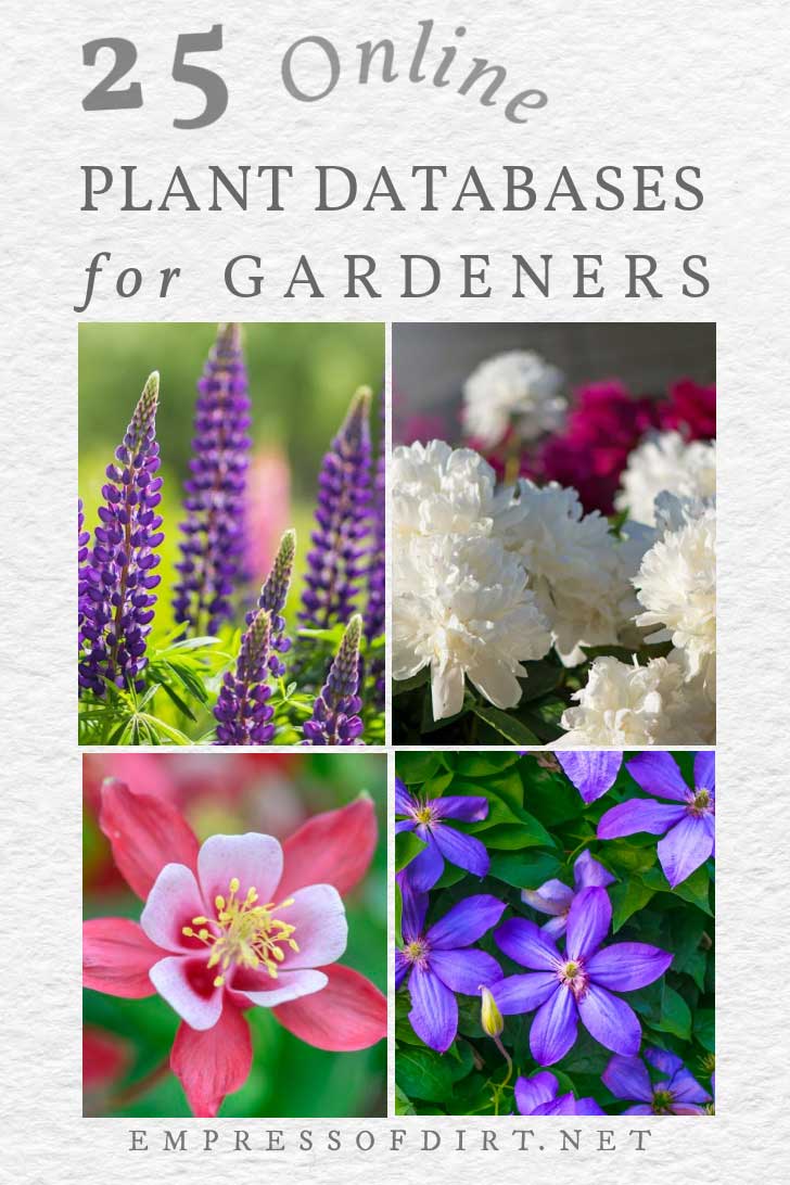 Online Plant Databases (Canada & United States) — Empress of Dirt