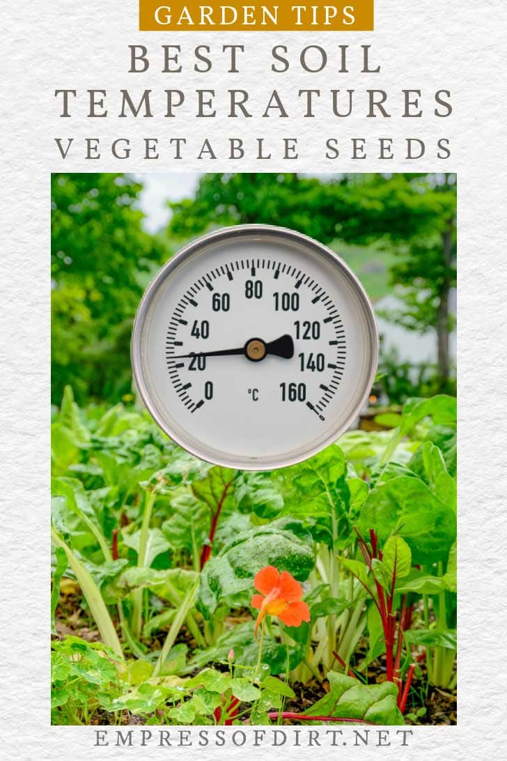 Best Soil Temperatures for Sowing Vegetable Seeds