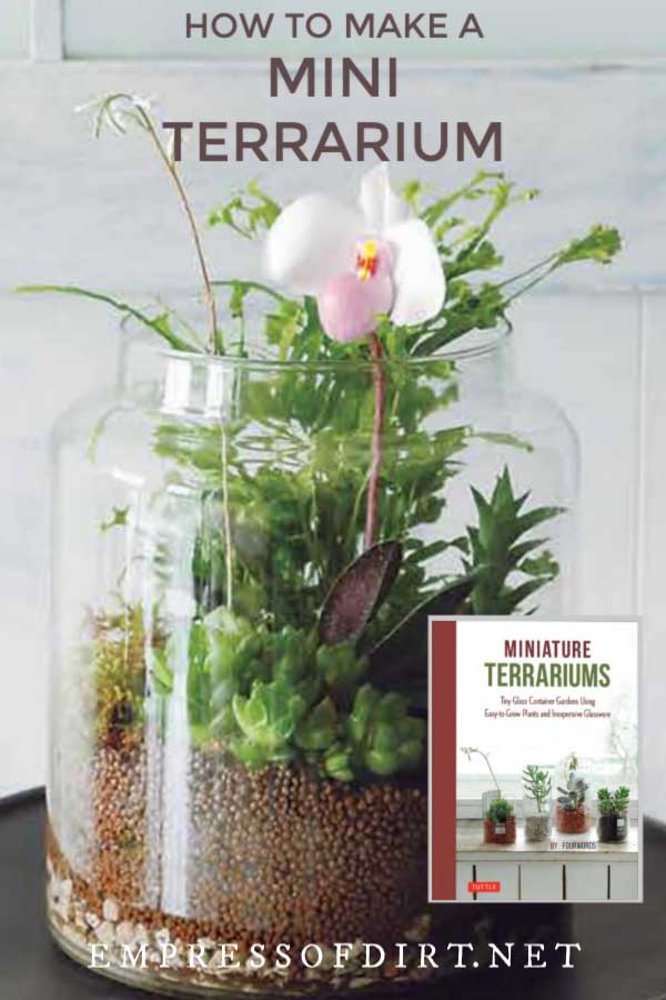 Make a Mini Terrarium (5 Step Tutorial) | Empress of Dirt