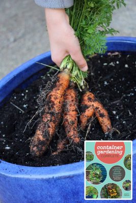 Container Vegetable Gardening: A Planting Plan for Spring Through Fall