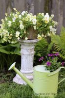 20 Creative Watering Can Garden Art Ideas — Empress of Dirt