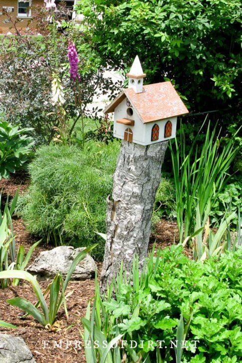 25 Creative Tree Stump Ideas for Backyard Gardens