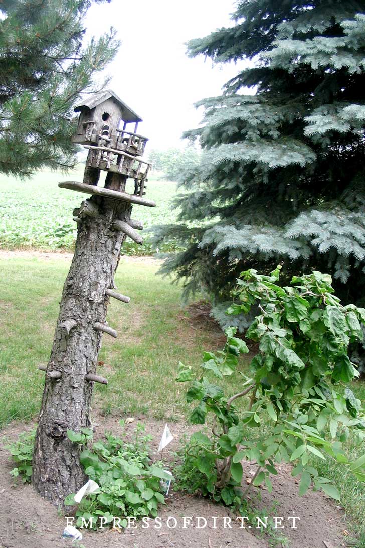 25 Creative Tree Stump Ideas for Backyard Gardens