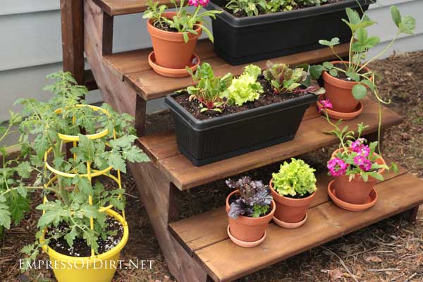 How to Build a Simple Staircase Plant Stand | Empress of Dirt