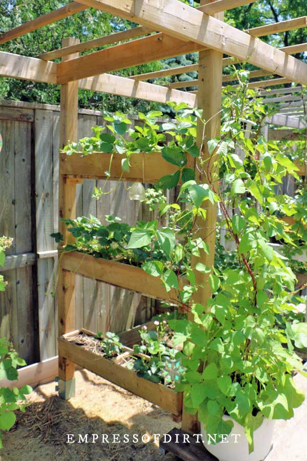 12+ Creative Vertical Garden Projects