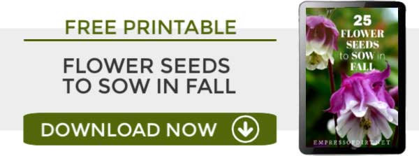 25 Annual & Perennial Flower Seeds to Sow in Fall (Printable List ...