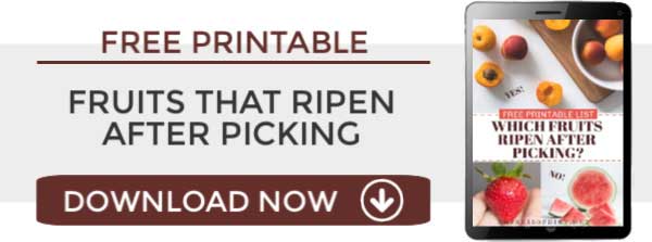 25 Fruits That Ripen After Picking (and Those That Don't) | Empress of Dirt