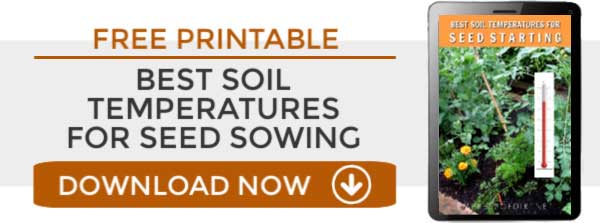 Best Soil Temperatures for Sowing Seeds | Empress of Dirt