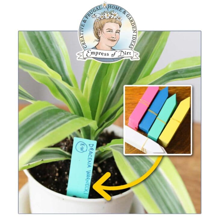 Easy Houseplant Tagging System To Simplify Plant Care