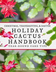 3 Quick Ways to Grow Christmas Cactus From Cuttings