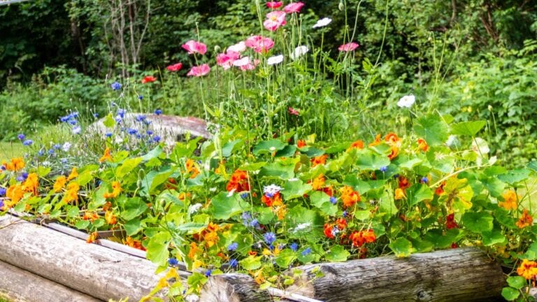 How the Term "Organic" Misleads Gardeners