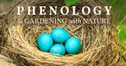 Phenology: Using Nature's Signs & Signals as a Gardener
