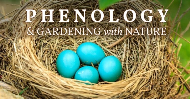 Phenology: Using Nature's Signs & Signals as a Gardener