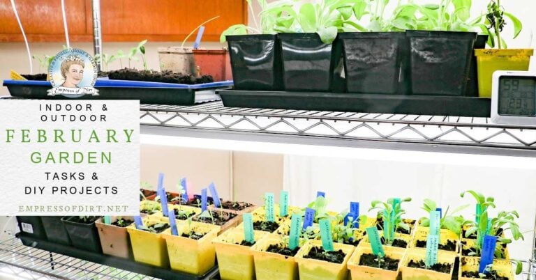 February Garden Checklist: Tasks & DIY Projects — Empress of Dirt