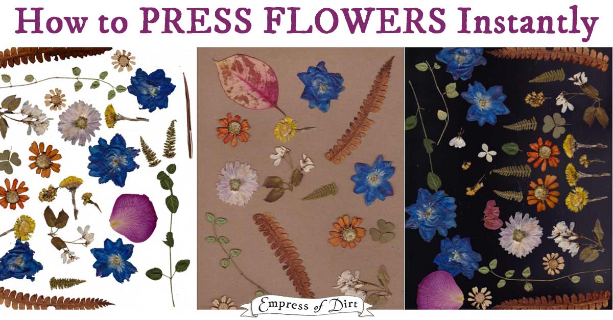 25 Pressed Flower Art & Craft Projects - Empress of Dirt