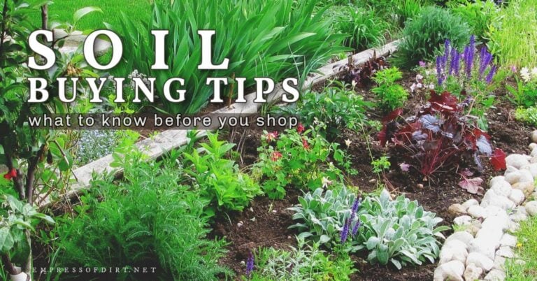 Buying Soil For Your Garden? Read This First